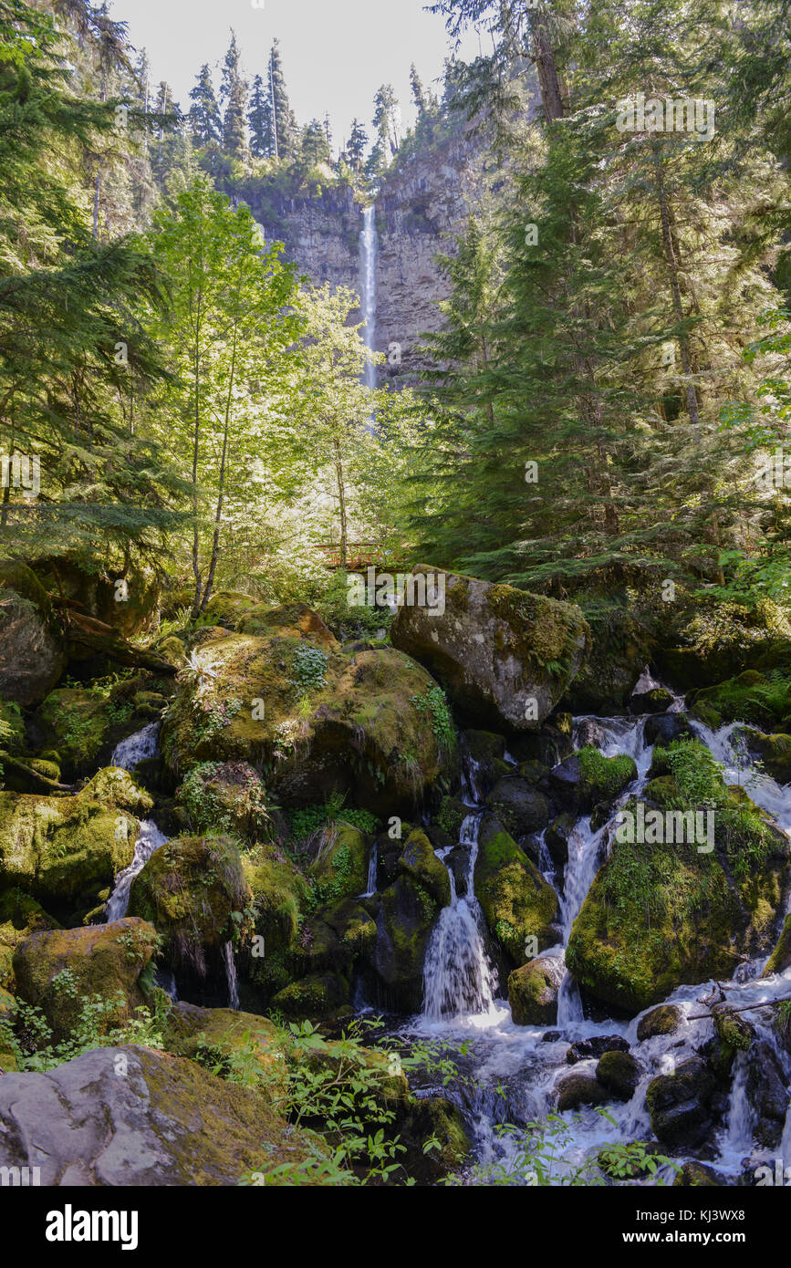 Watson Falls in the North Umpqua River basin. One of the highest ...