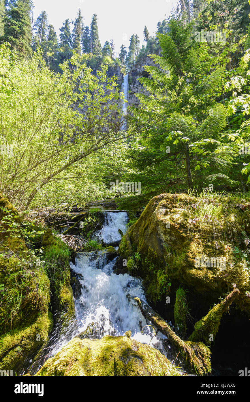 Watson Falls in the North Umpqua River basin. One of the highest ...