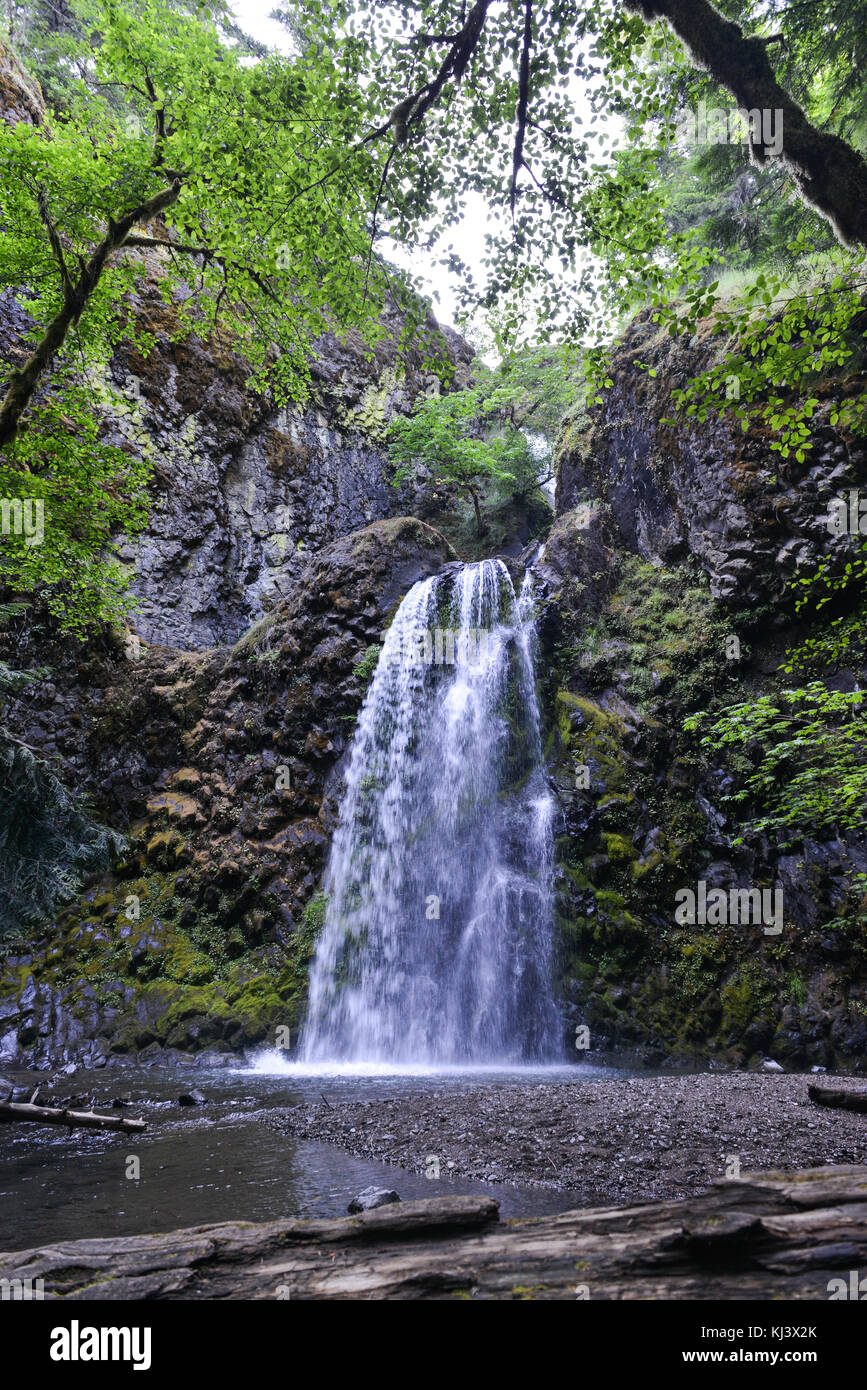Fall Creek Falls, Oregon in the Umpqua National Forest Stock Photo - Alamy