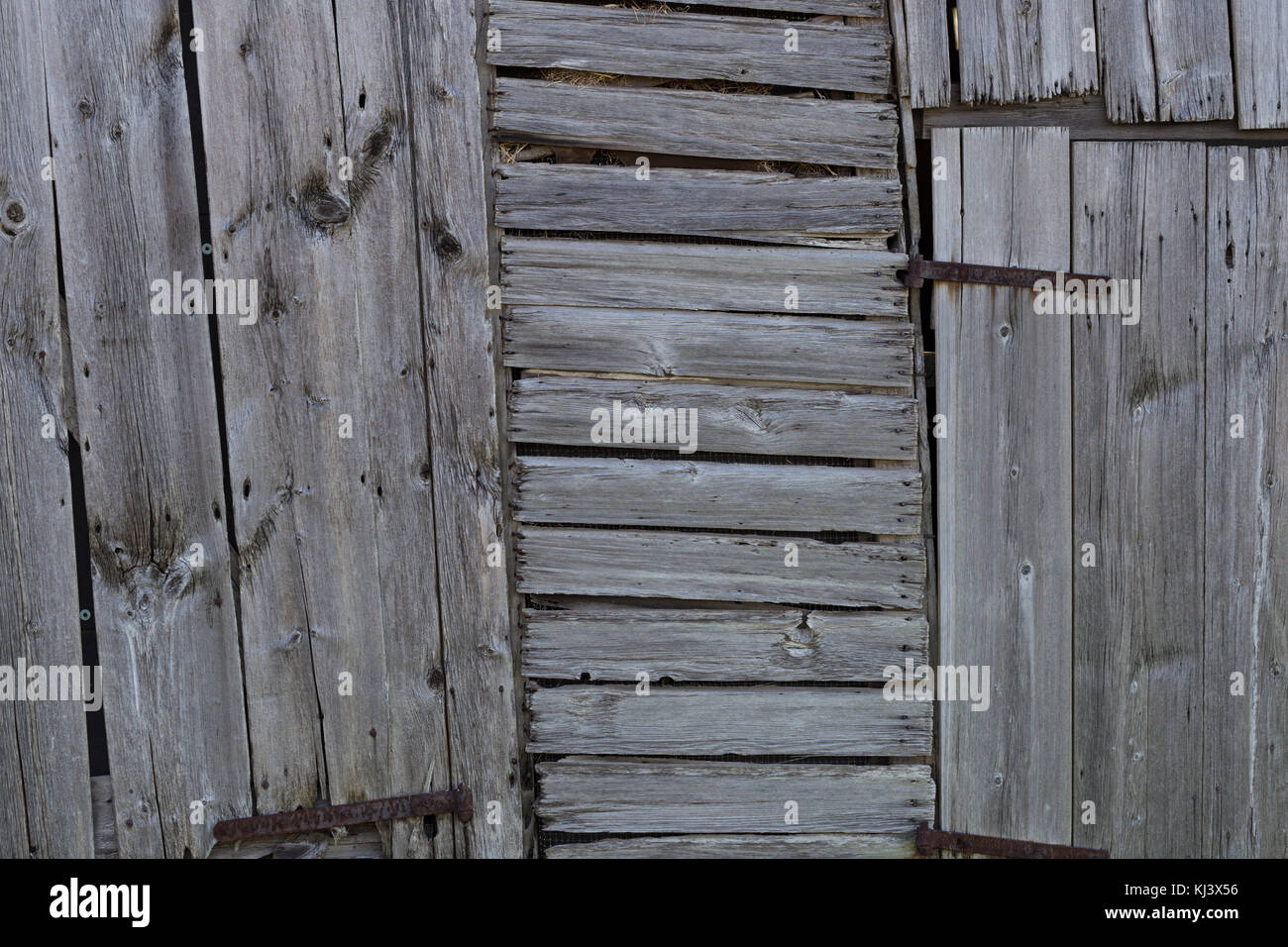 Old, Well Weathered Barn Siding has turned gray over the years Stock ...