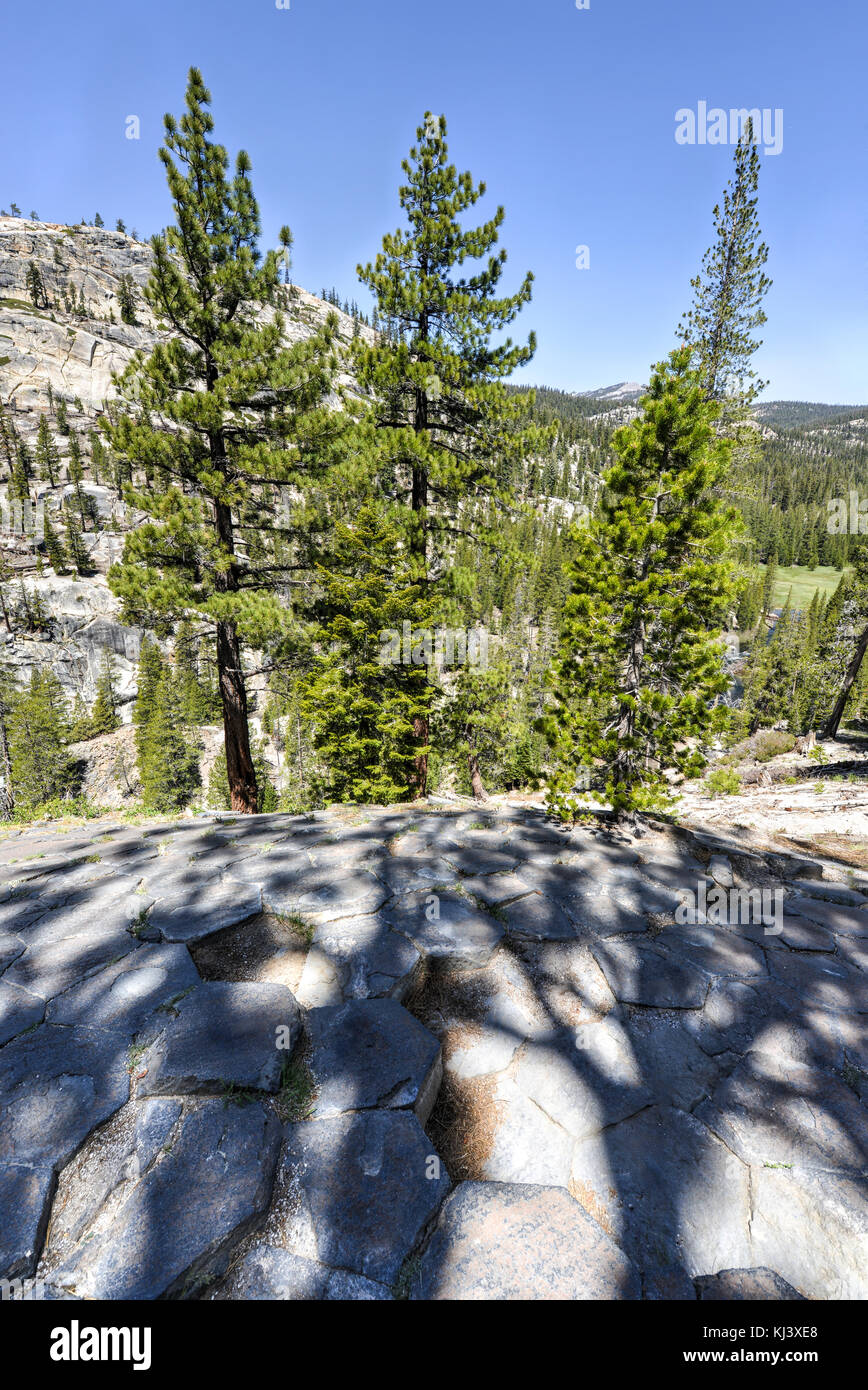 Top of Basalt formations at Devil's Postpile National Monument near ...