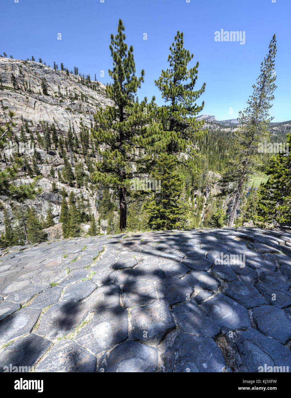Top of Basalt formations at Devil's Postpile National Monument near ...