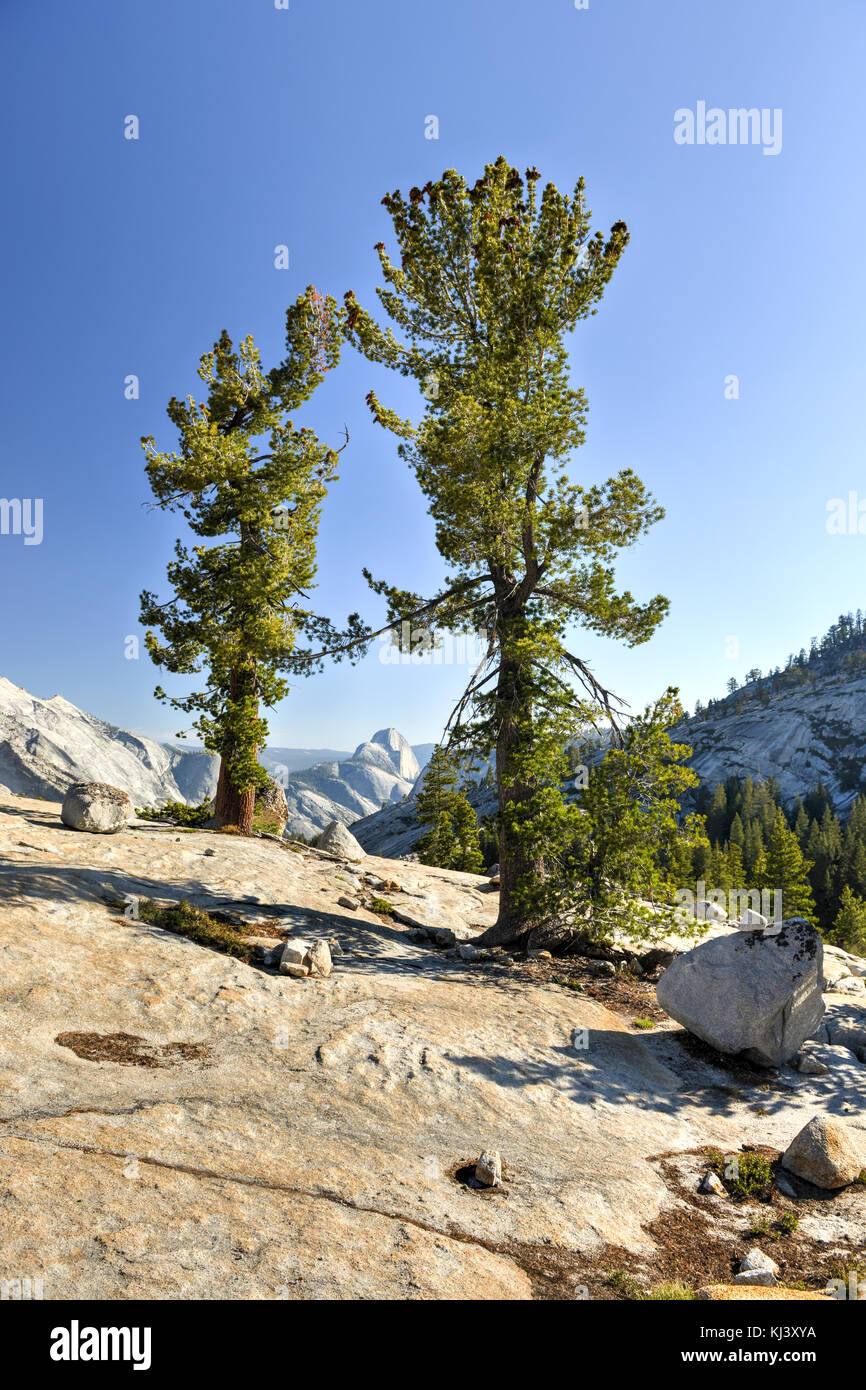 Olmstead point yosemite hi-res stock photography and images - Alamy
