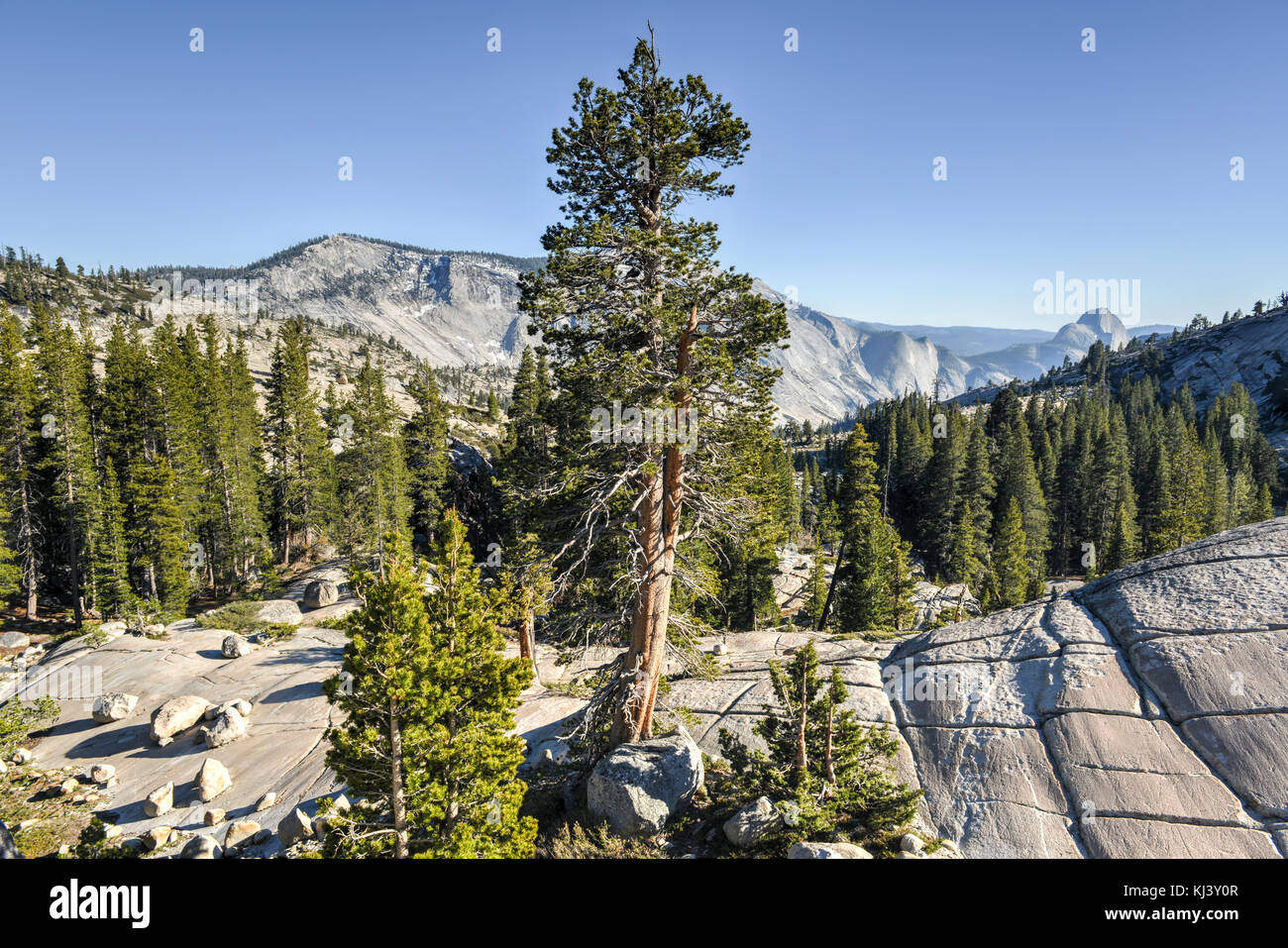 Yosemite National Park: Olmsted Point -The view from Olmsted Point at ...