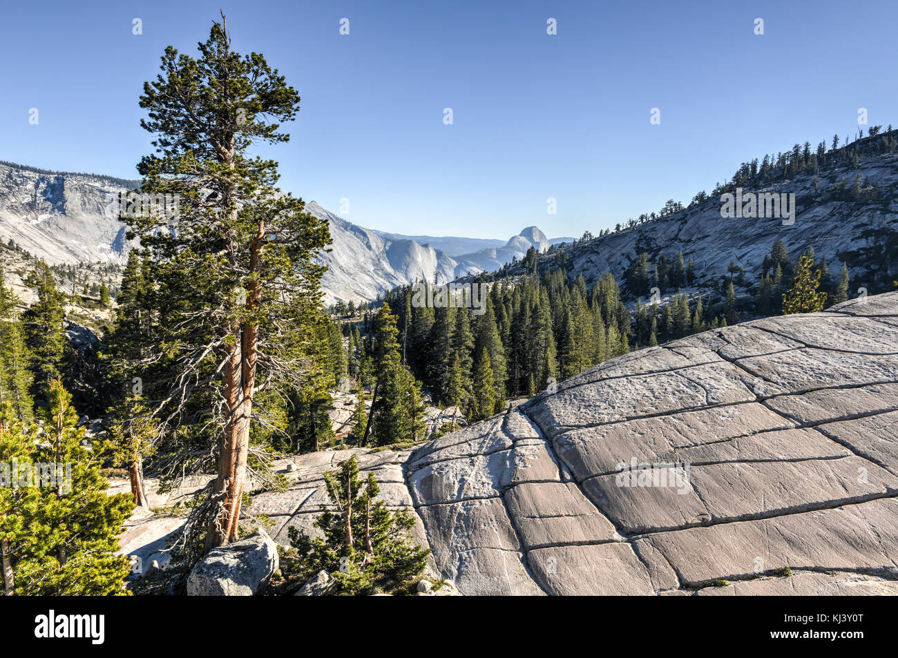 Yosemite National Park: Olmsted Point -The view from Olmsted Point at ...