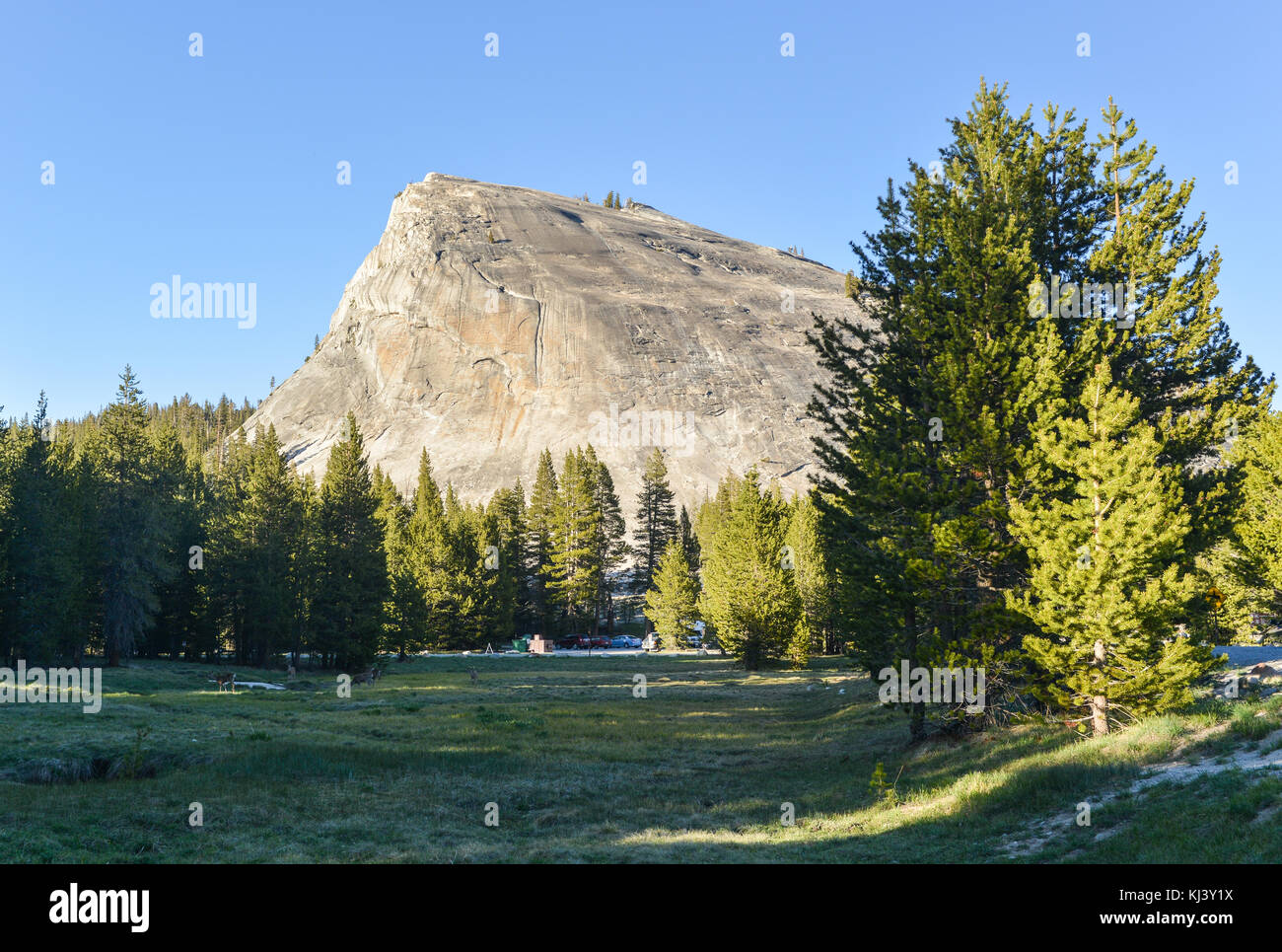 View of Lembert Dome, a granite dome rock formation in Yosemite ...