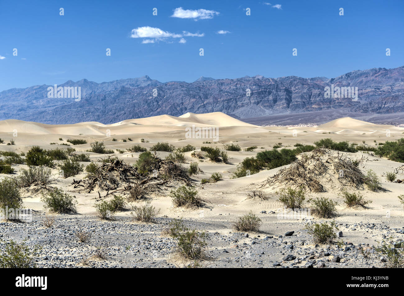 Sand dunes in Mesquite Flat Sand Dunes, Death Valley National Park ...