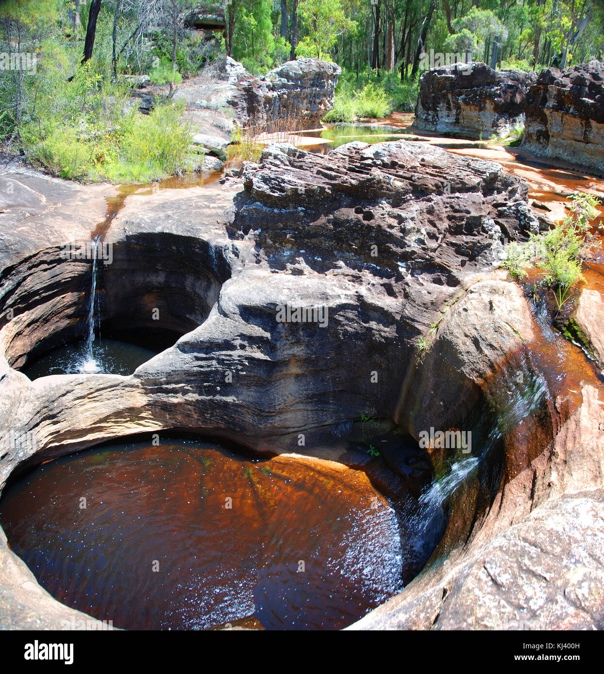 Blackdown tablelands national park hi-res stock photography and images ...