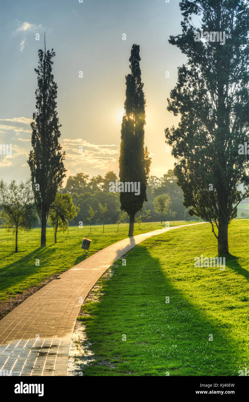 James and Ethel Gray Park in Syferfontein, Johannesburg, South Africa ...