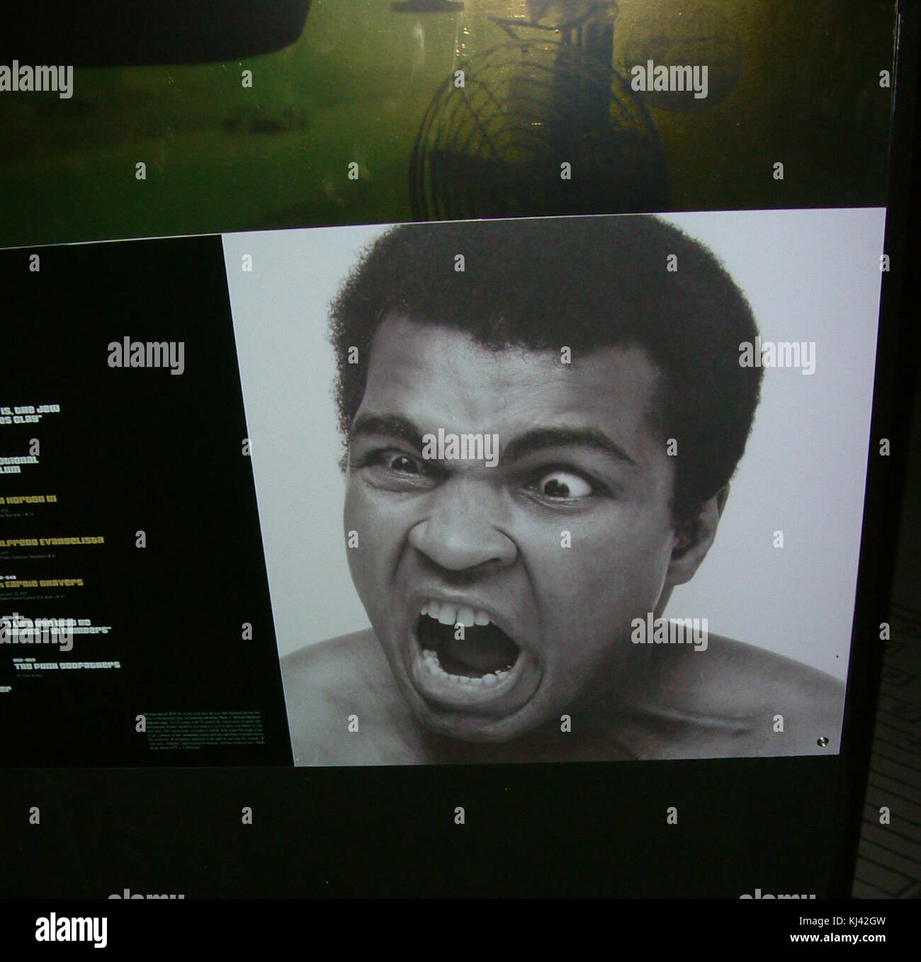 MIAMI - DECEMBER 06: Boxer Muhammad Ali photographed during Art Basel ...