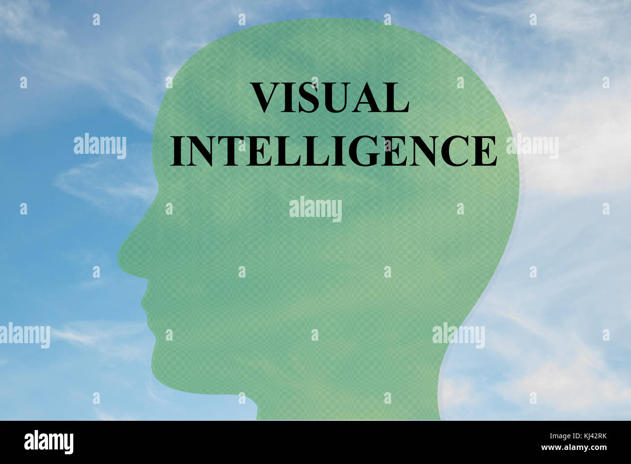 Render illustration of "VISUAL INTELLIGENCE" title on head silhouette ...