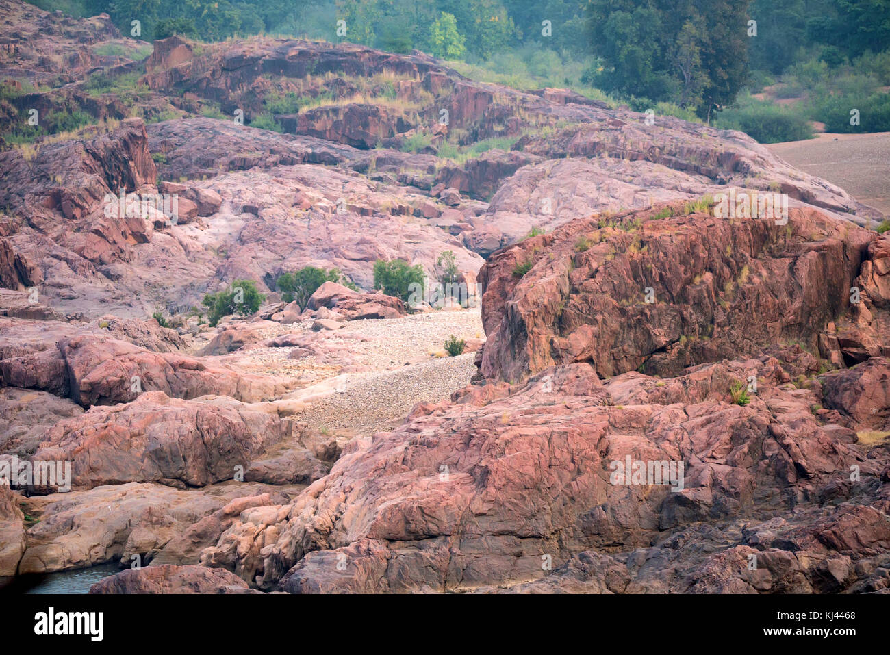 Beautiful Indian landscape in Gharial Sanctuary Stock Photo - Alamy