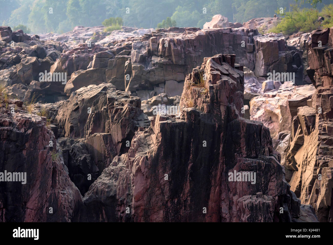 Beautiful Indian landscape in Gharial Sanctuary Stock Photo - Alamy