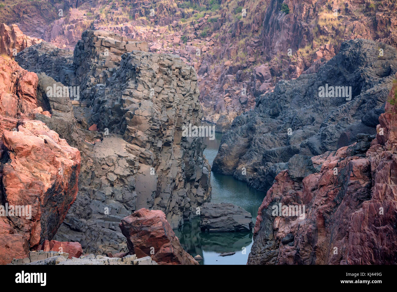 Beautiful Indian landscape in Gharial Sanctuary Stock Photo - Alamy