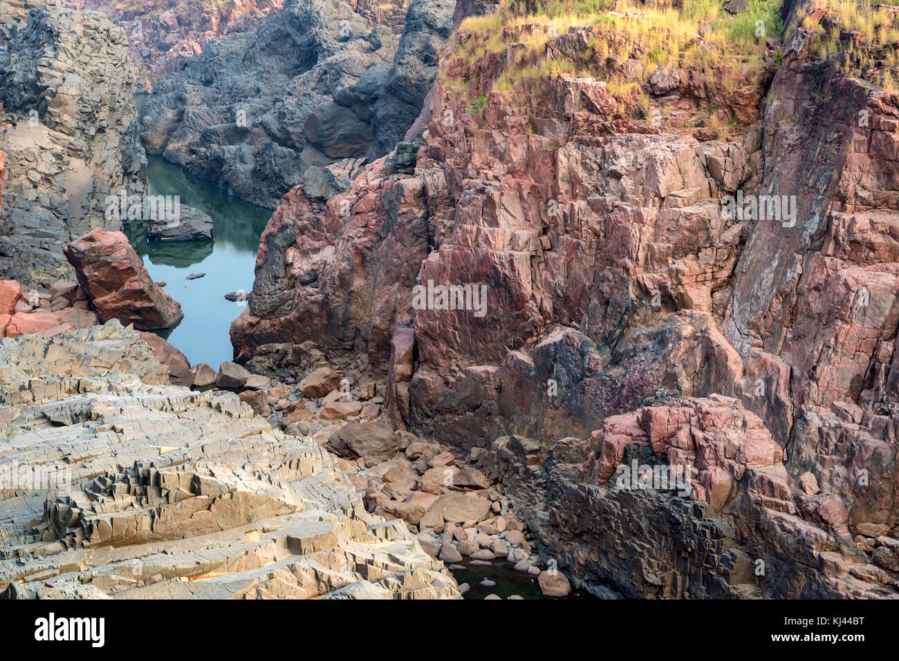 Beautiful Indian landscape in Gharial Sanctuary Stock Photo - Alamy