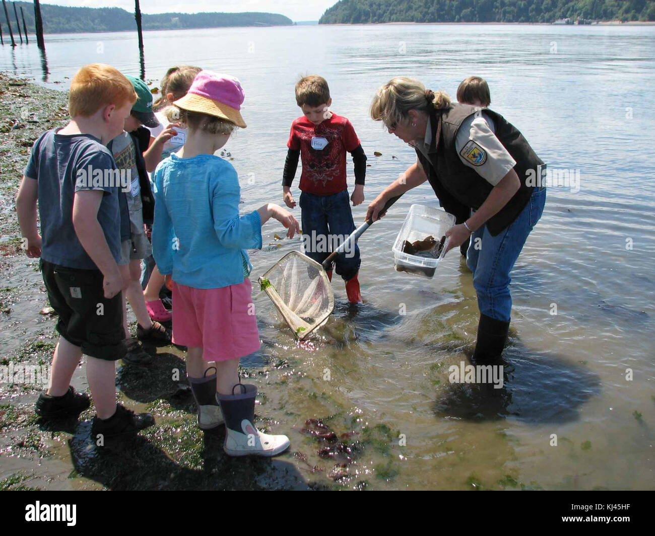 Young kids are learning about nature on river Stock Photo - Alamy
