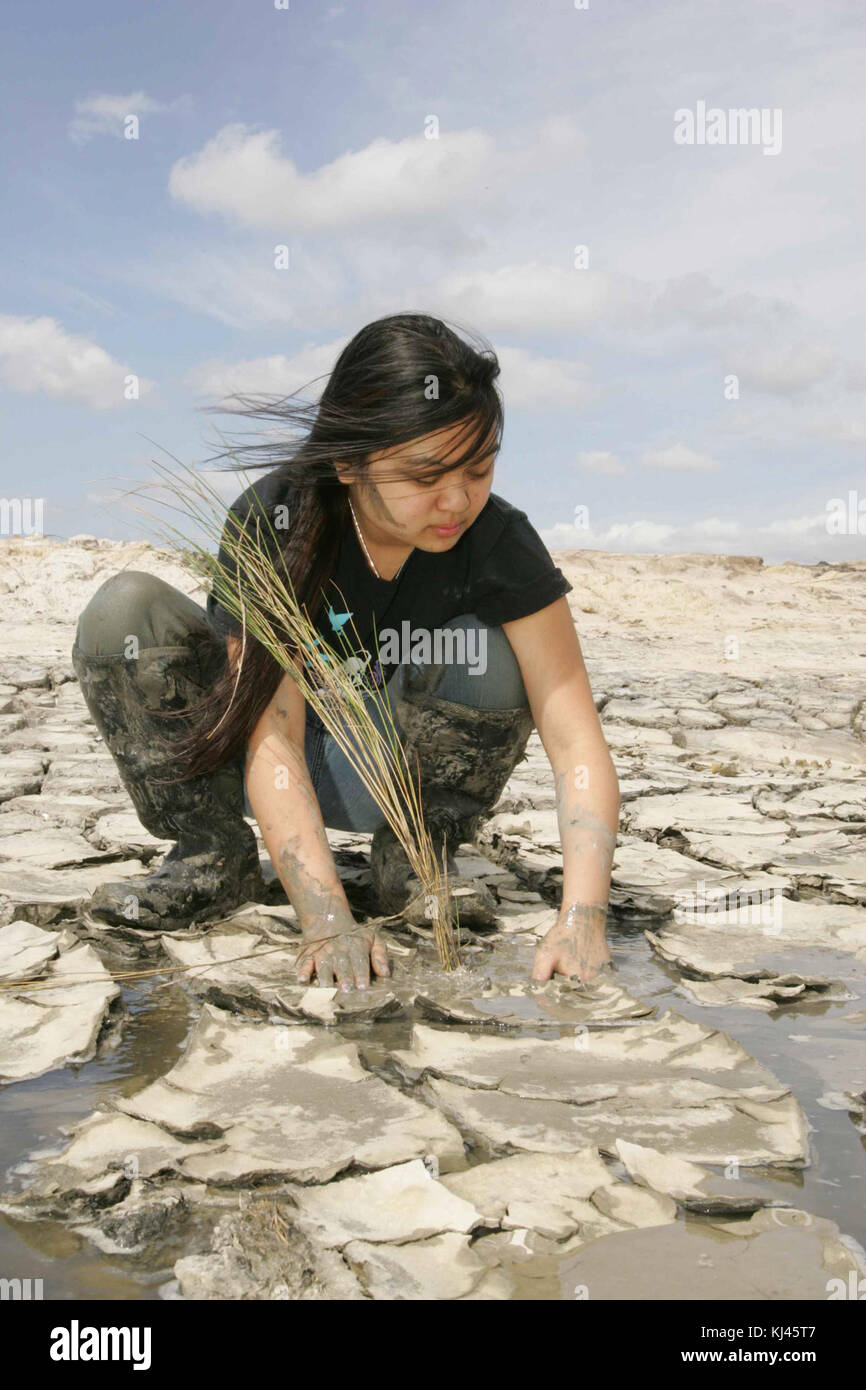 This image depicts a young woman planting marsh grass in muddy terrain ...