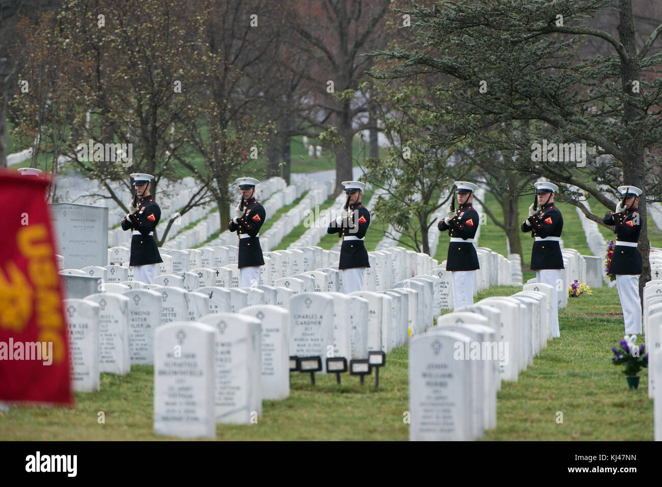 Graveside service for U.S. Marine Pvt. Harry K. Tye, killed during the ...