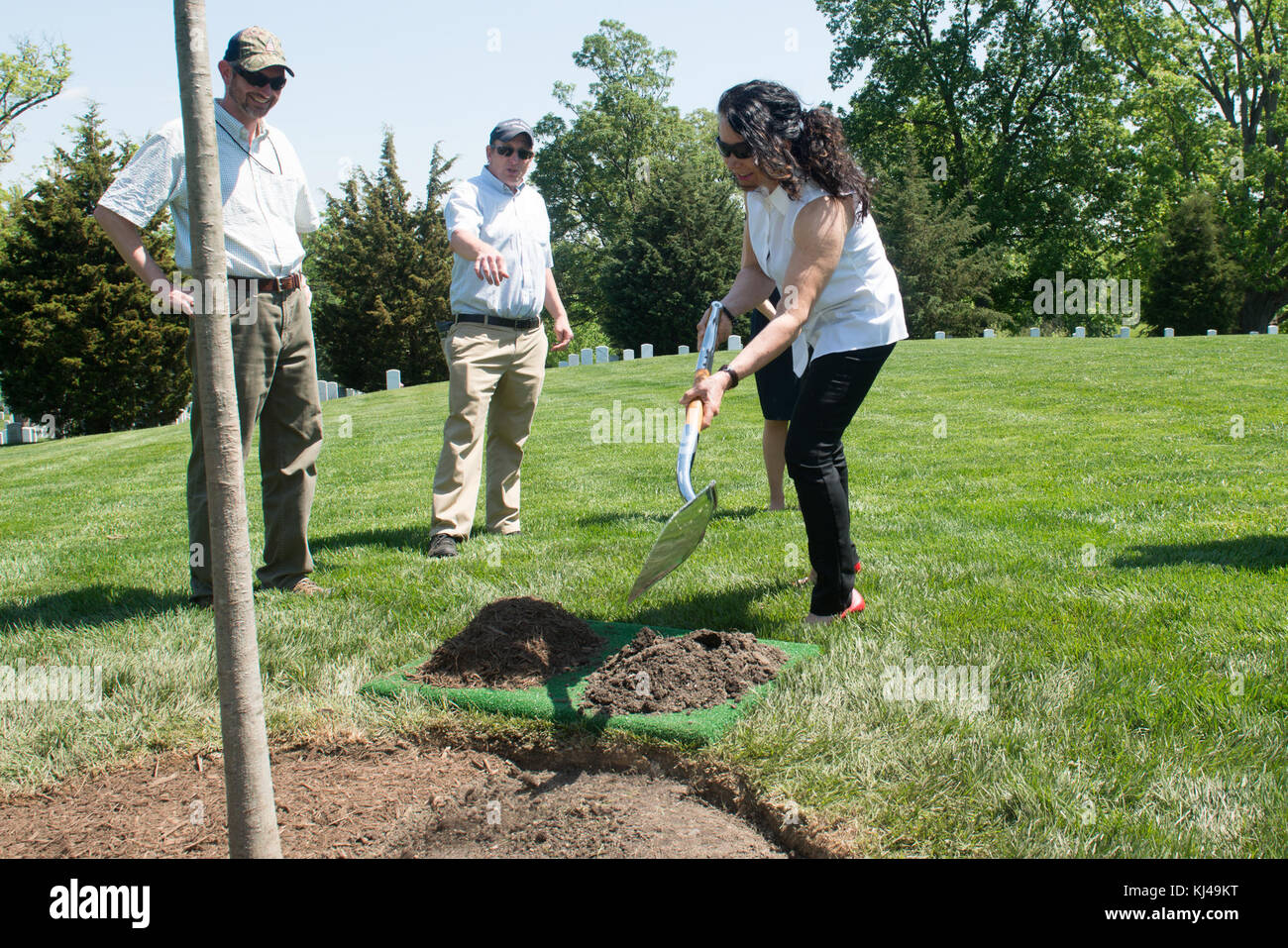 Arlington National Cemetery horticulture department conducts a tree ...