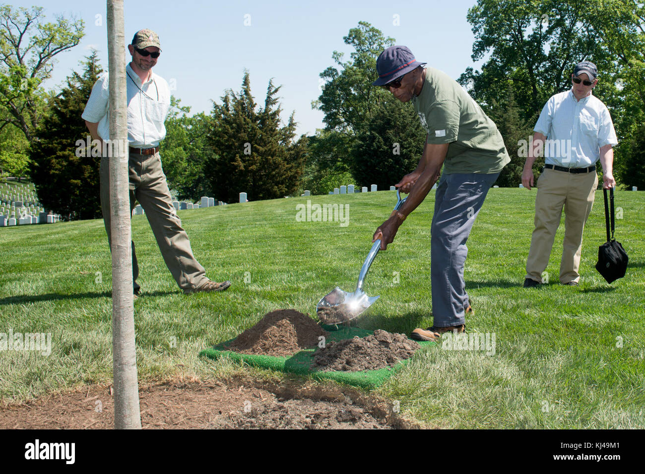 Arlington National Cemetery horticulture department conducts a tree ...