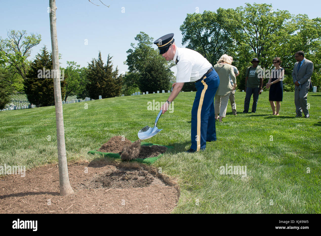 Arlington National Cemetery horticulture department conducts a tree ...