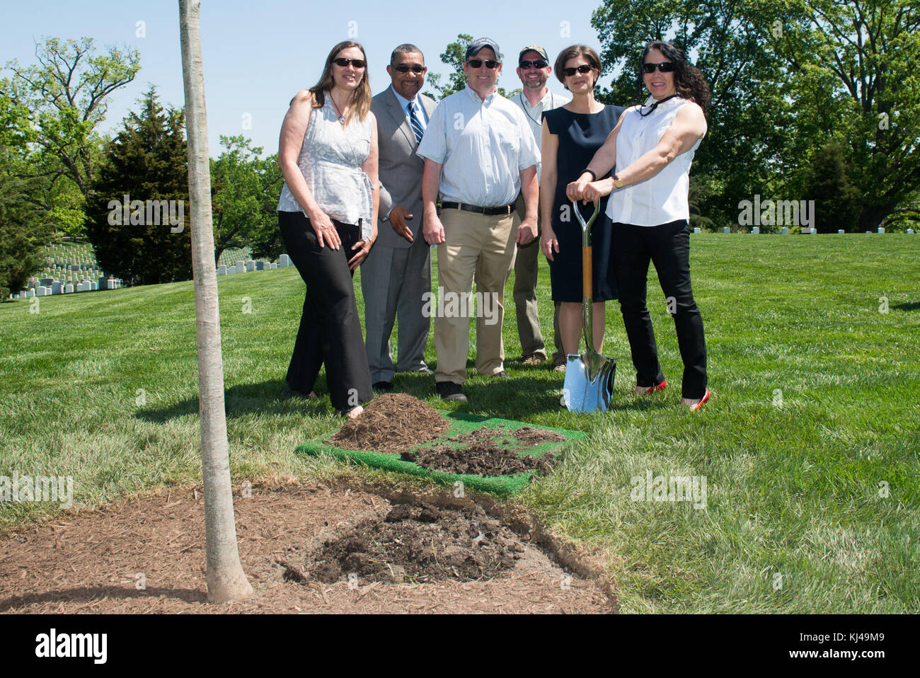 Arlington National Cemetery horticulture department conducts a tree ...