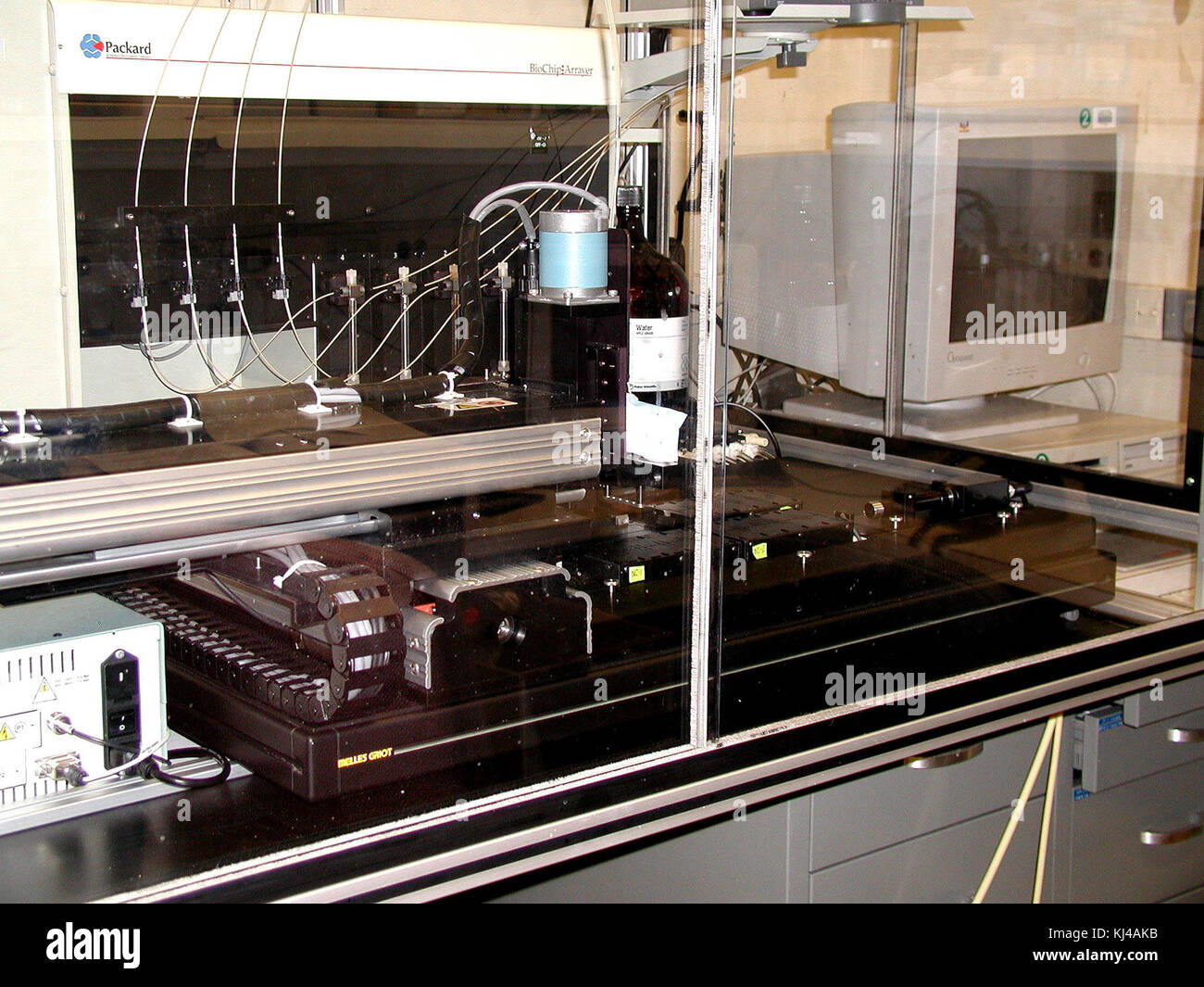 Protein pattern array Stock Photo - Alamy