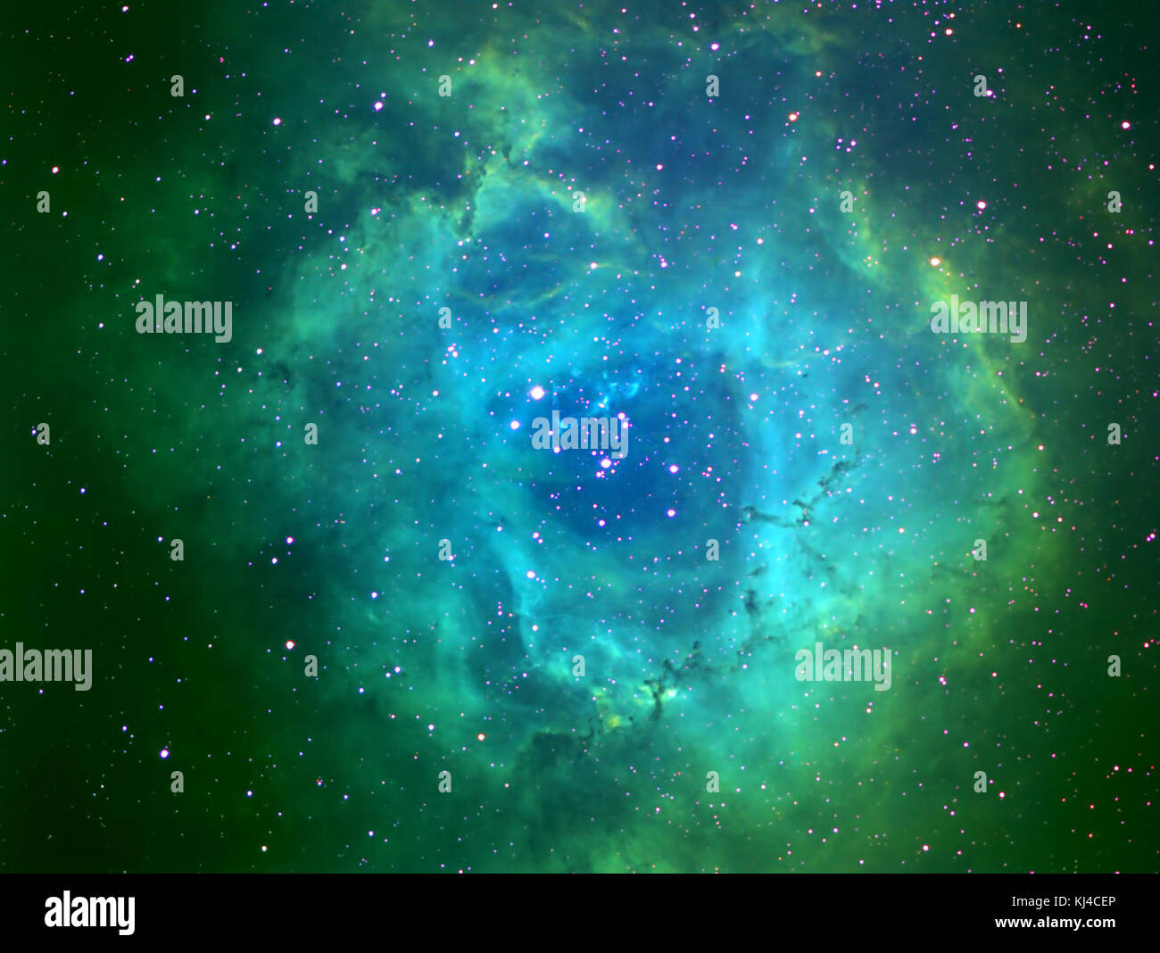 The Rosette Nebula (Caldwell 49 and 50) is a vast star-forming region ...