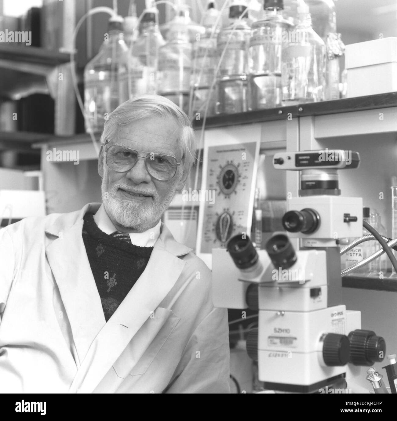 Louis henderson hi-res stock photography and images - Alamy