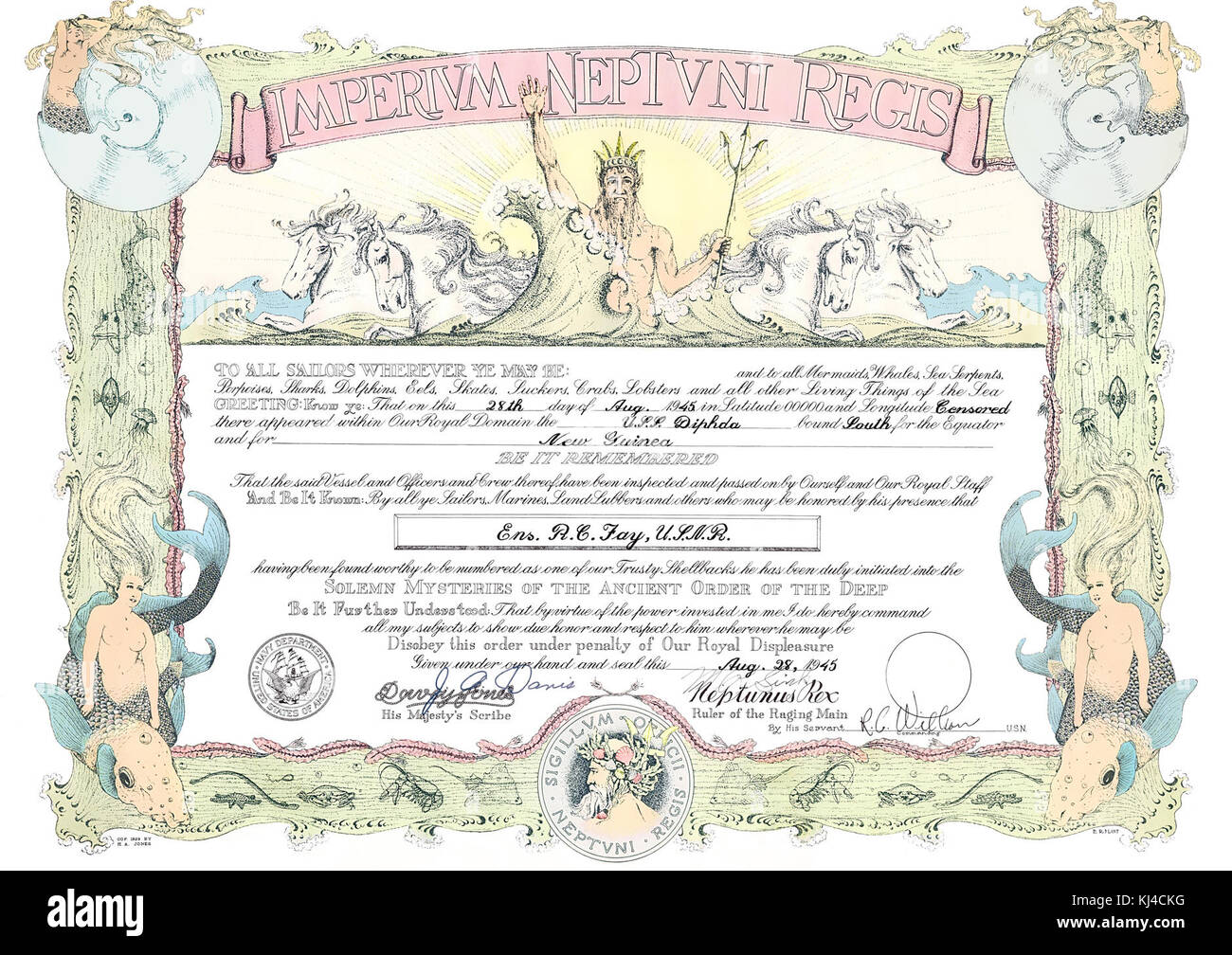 Shellback hi-res stock photography and images - Alamy