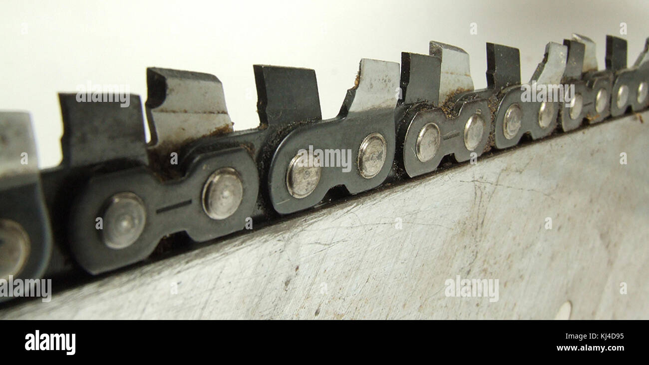 Labeled artifacts serve hi-res stock photography and images - Alamy