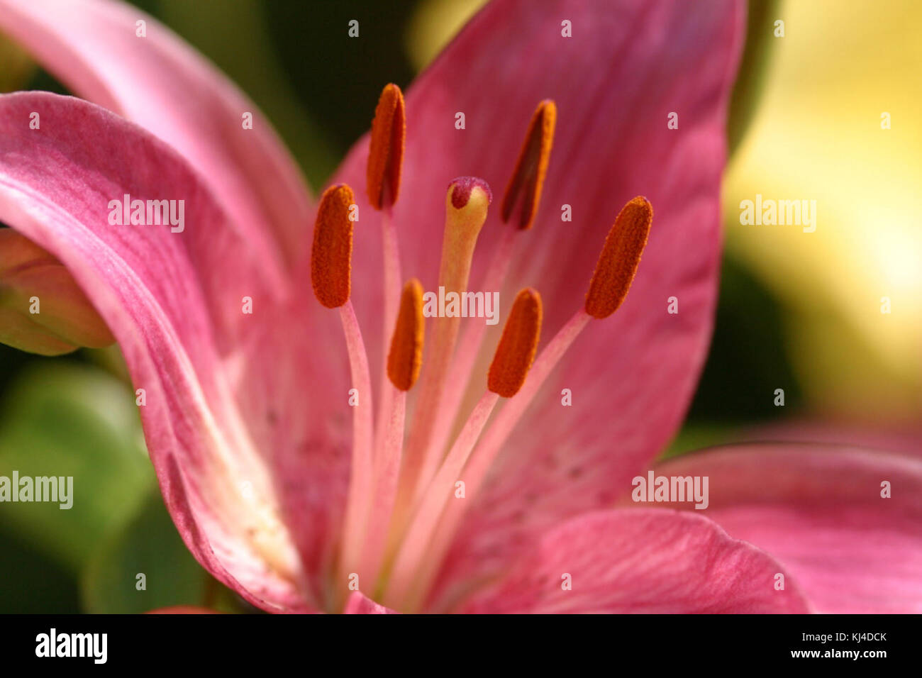 Bildtankstelle 1 062 Stock Photo - Alamy Bildtankstelle 1 062 Stock Photo - Alamy