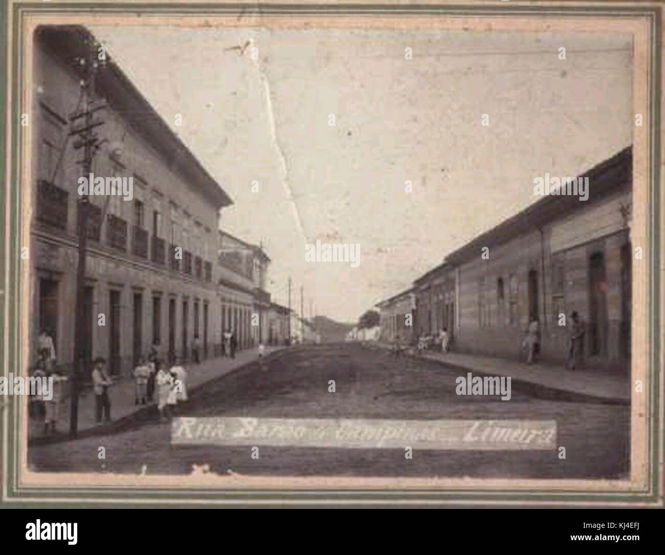 Limeira hi-res stock photography and images - Alamy