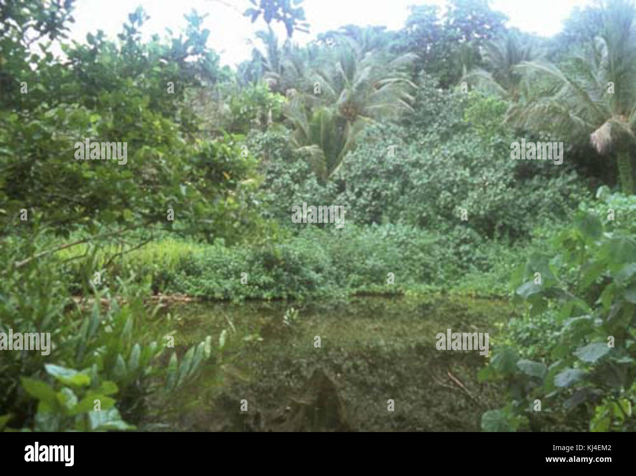 Pulo anna hi-res stock photography and images - Alamy