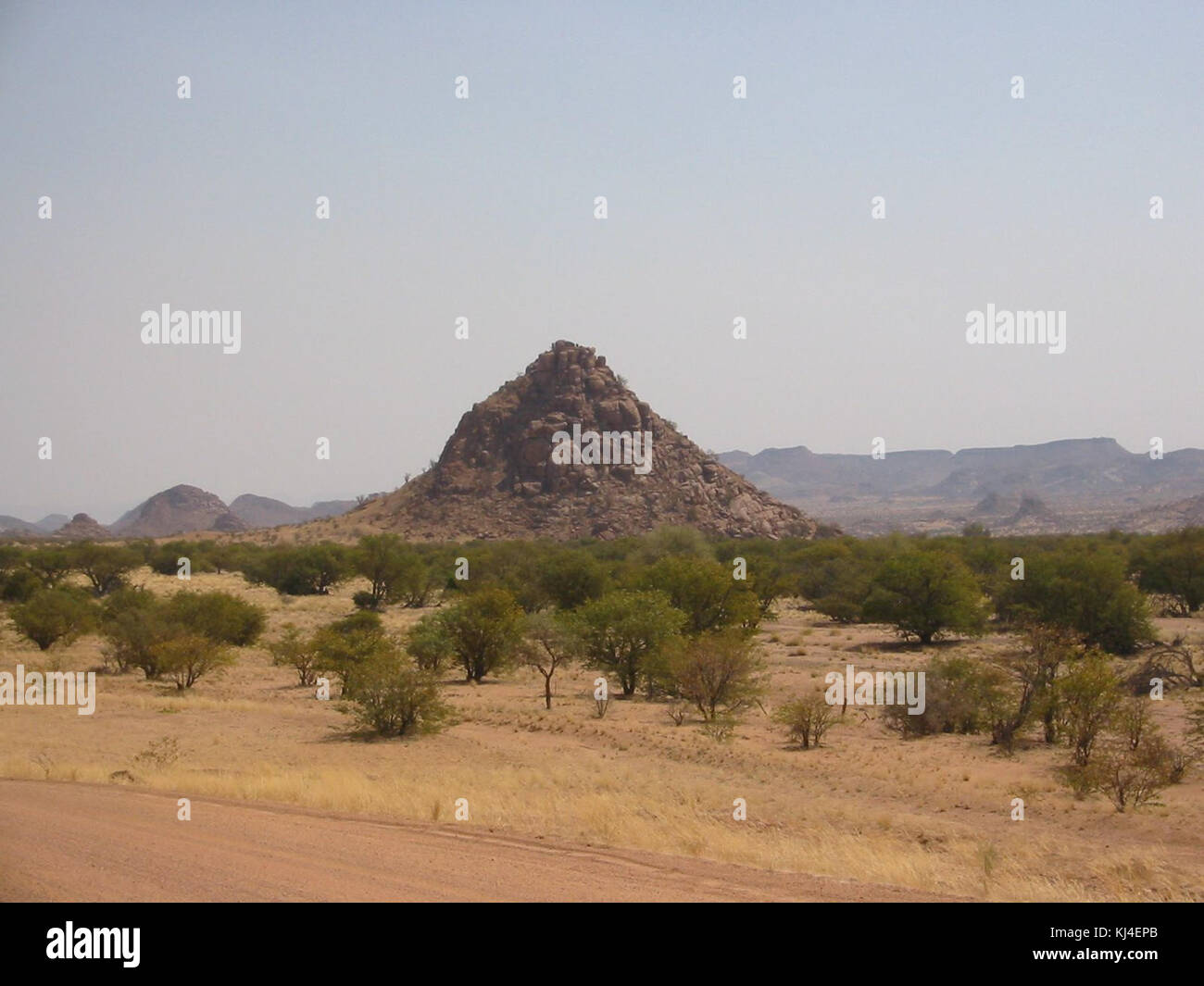 Steppe ecosystem hi-res stock photography and images - Alamy