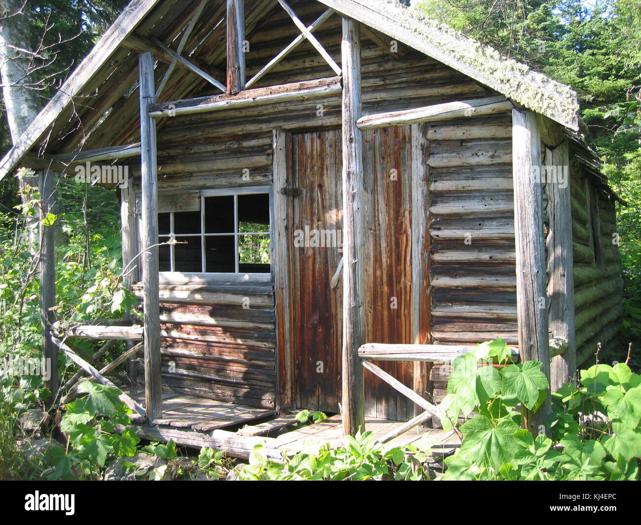 This is an old, abandoned fisherman's shack by Chippawa Harbor Stock ...