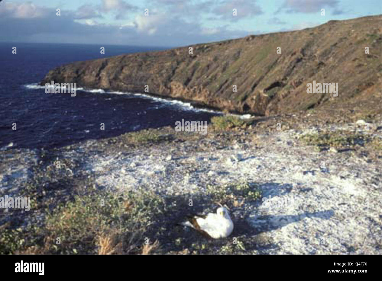 Kaula hi-res stock photography and images - Alamy