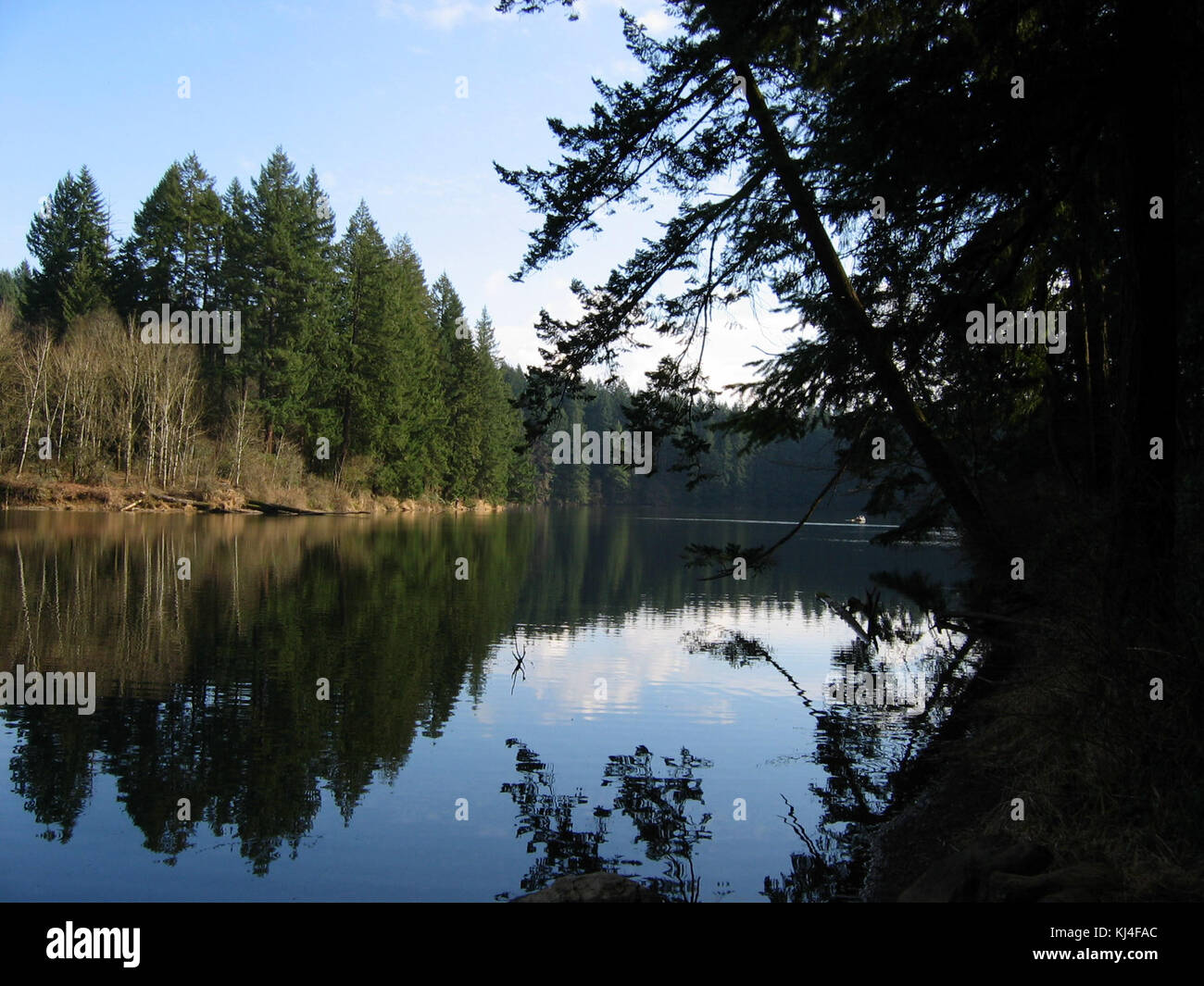Tar lakes hi-res stock photography and images - Alamy