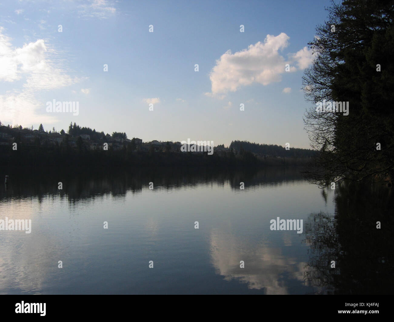 US-WA-lacamas lake-north boat launch-tar Stock Photo - Alamy