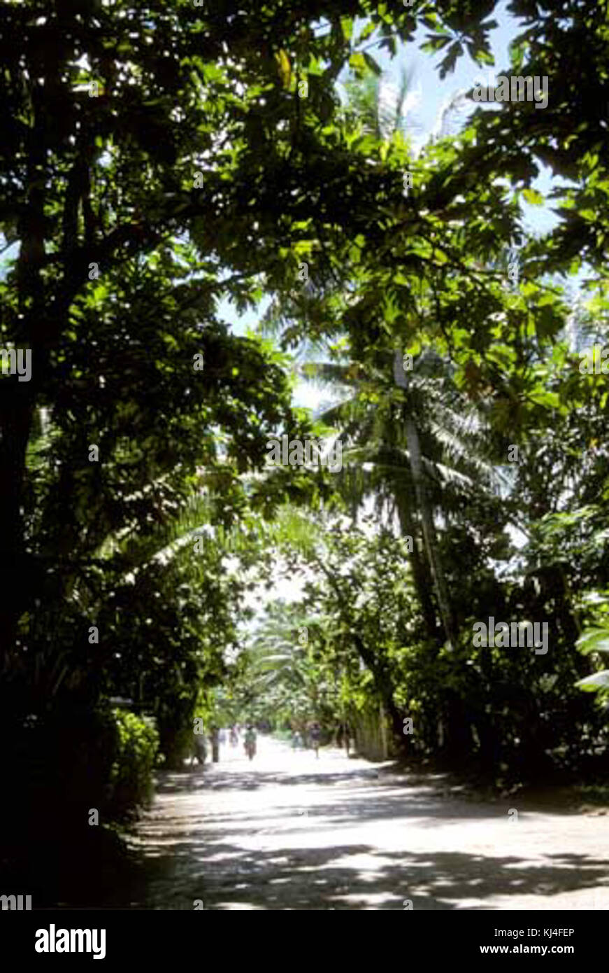 Main street of Funafuti Stock Photo - Alamy
