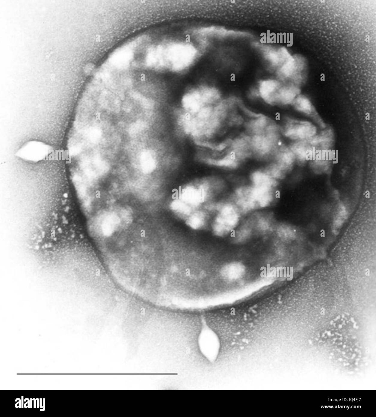 Rt8 hi-res stock photography and images - Alamy