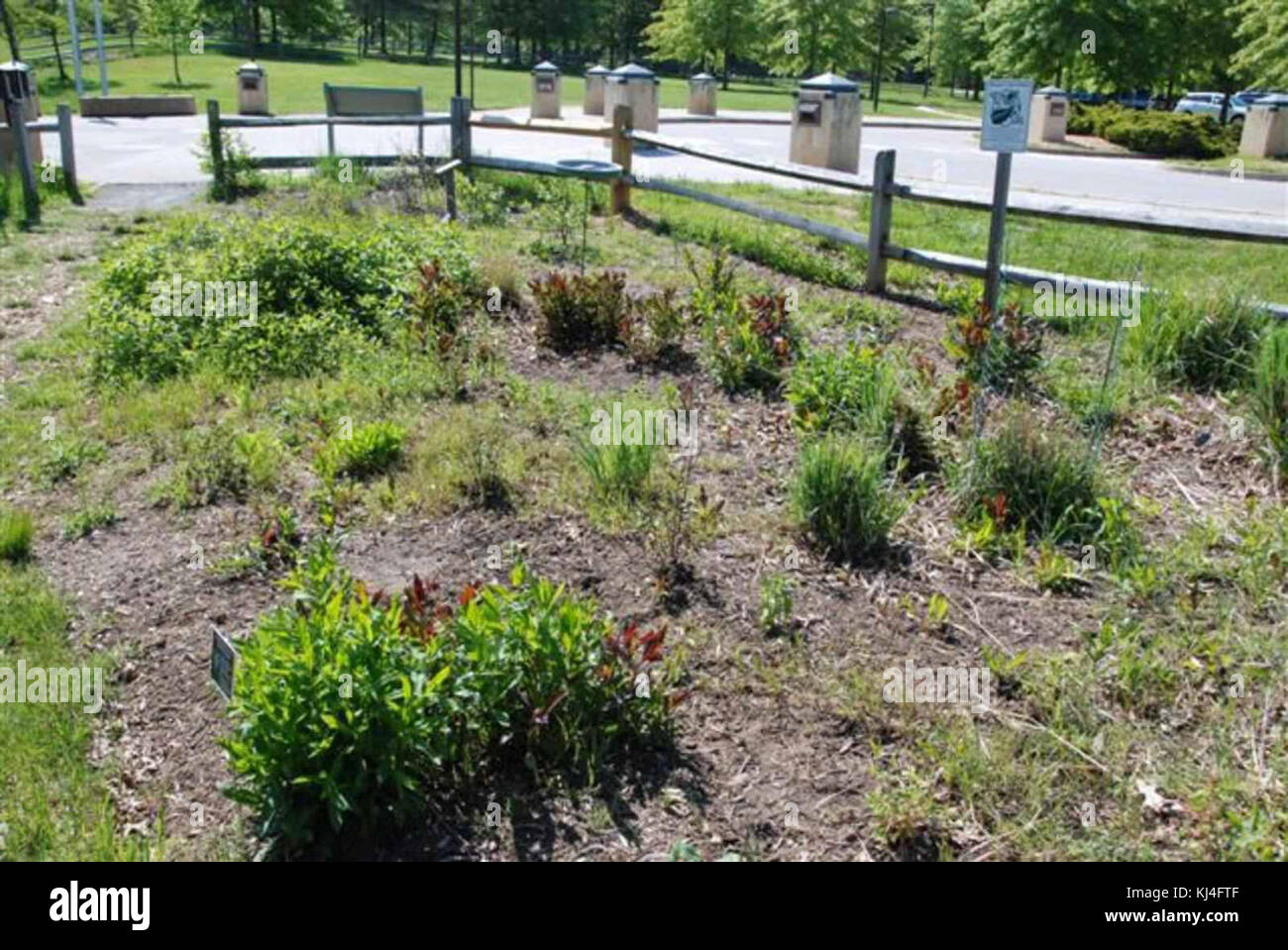 Patuxent Refuge High Resolution Stock Photography and Images - Alamy