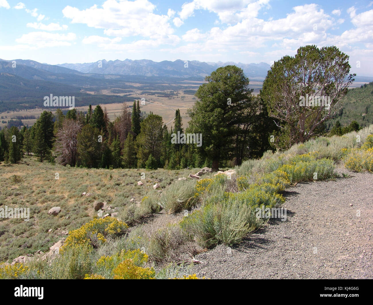 Salmon River Valley from Galena Overlook Stock Photo - Alamy