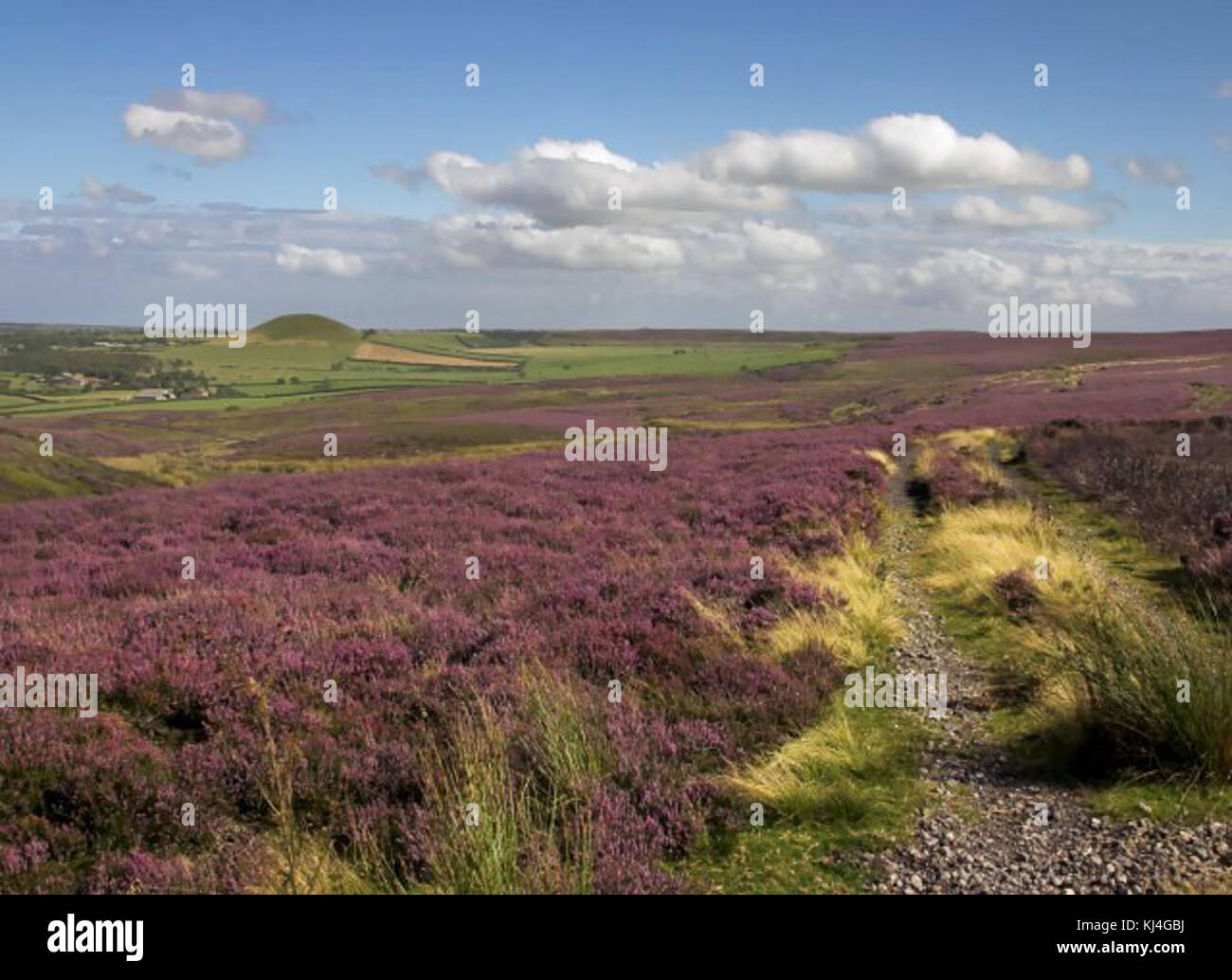 Moorland cover photo hi-res stock photography and images - Alamy
