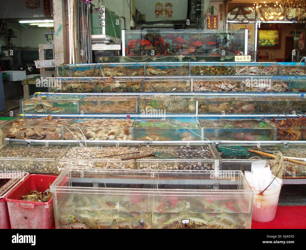 Live seafood tanks Stock Photo - Alamy