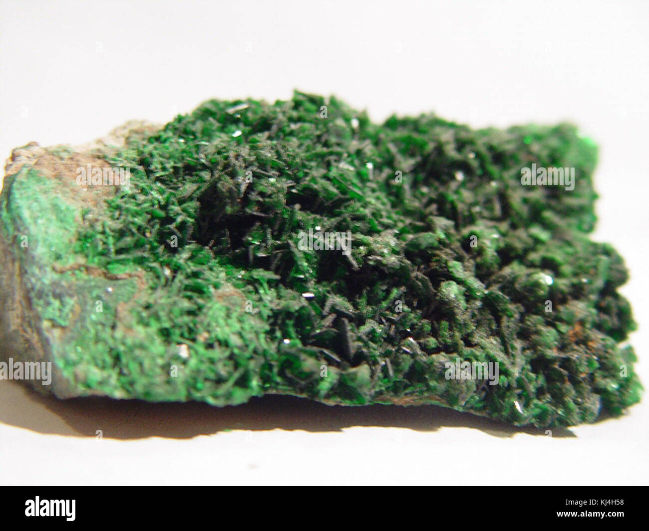 Torbernite illustration hi-res stock photography and images - Alamy