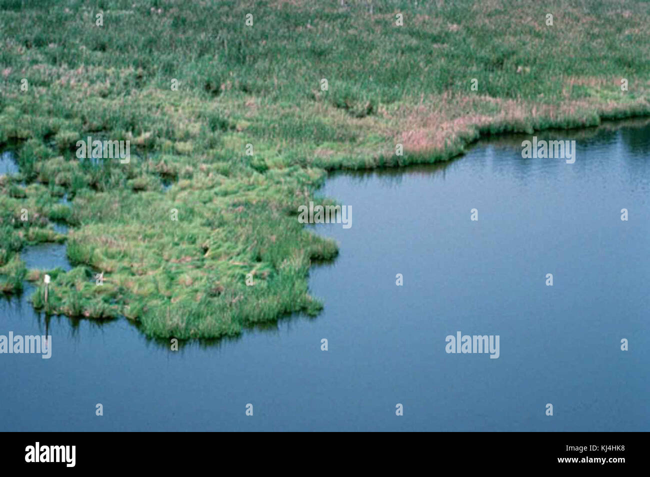 Chesapeake bay tidal area Stock Photo - Alamy