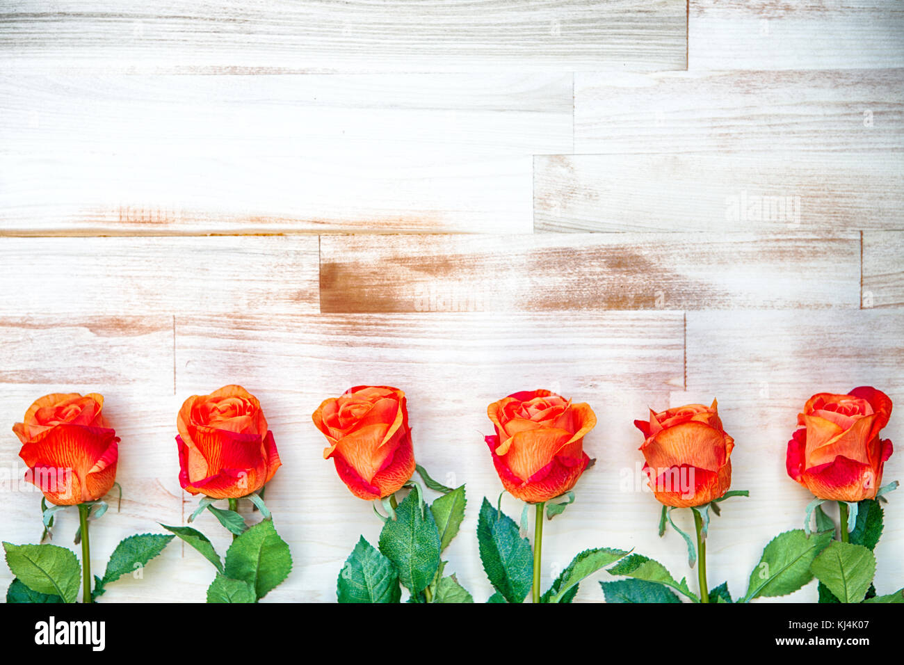 beautiful orange roses lined up in a row on a wooden background Stock ...