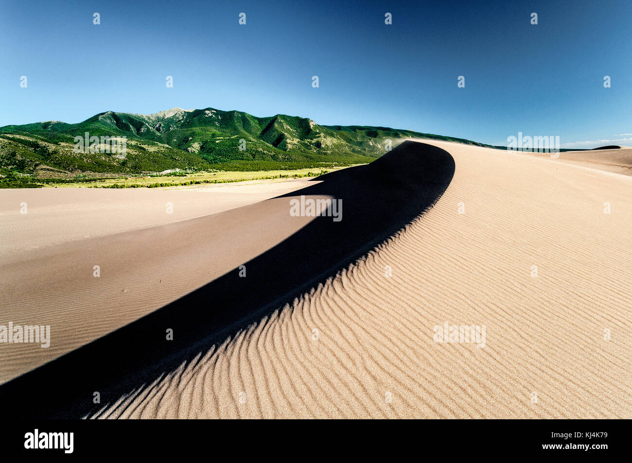 The curve of a dune in the desert of the Great Sand Dunes National Park ...