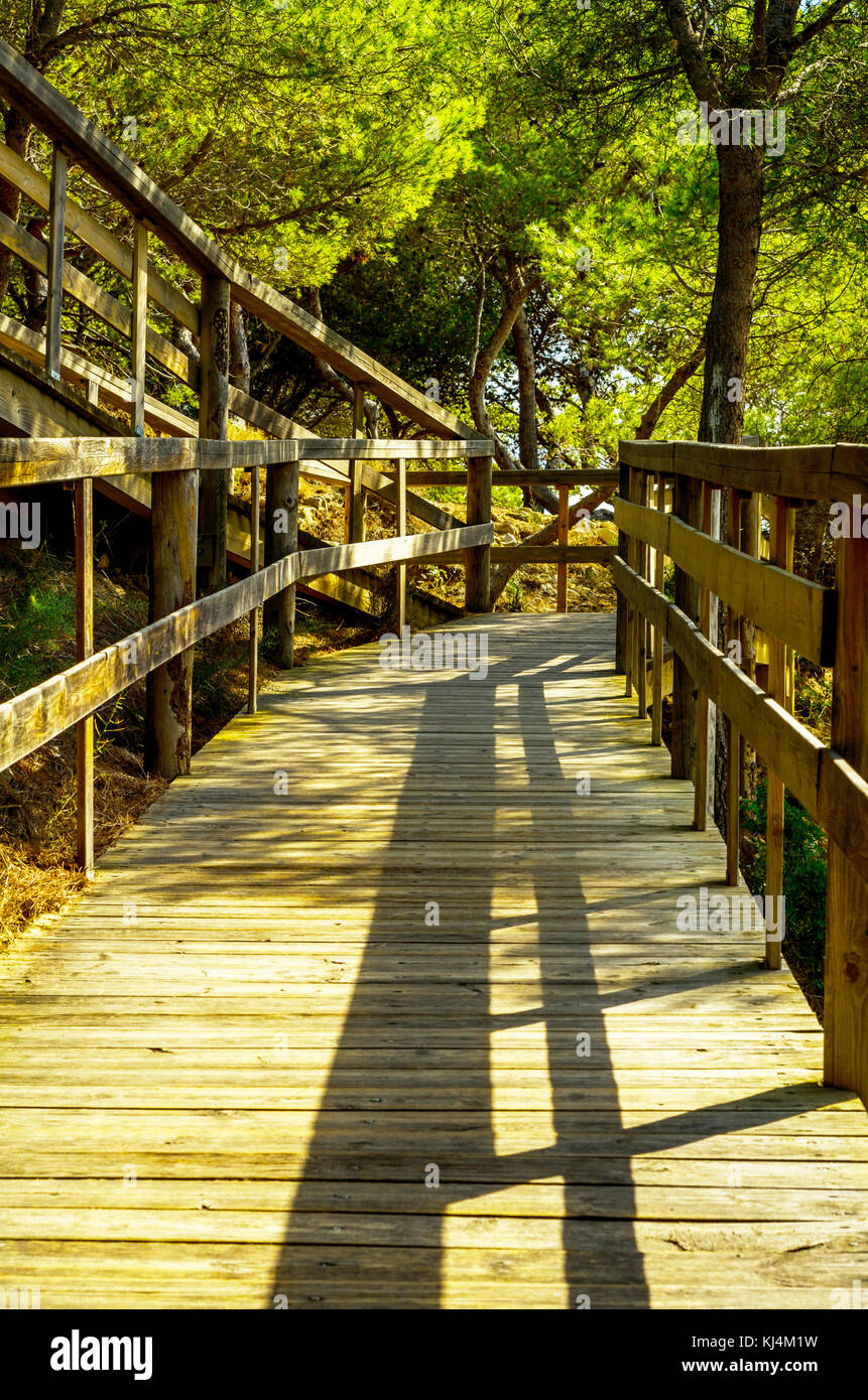 wooden boardwalk leading to the sandy beach, the path by the sea, green ...